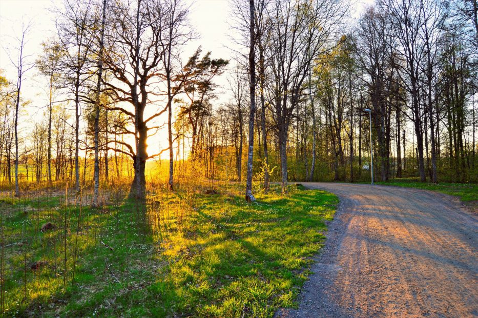 4 ways to spend your extra hour of evening sunlight - Halfords