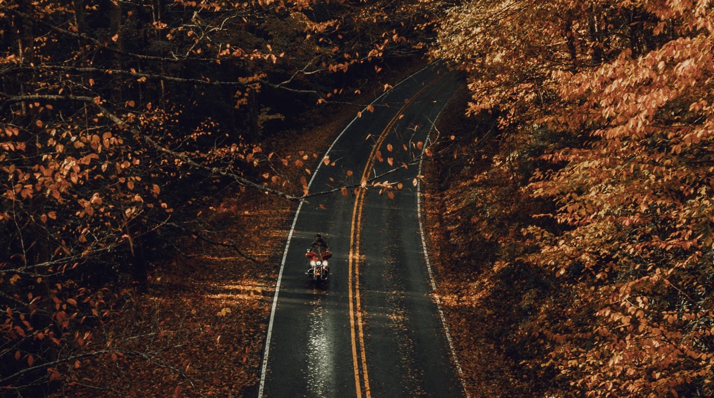 7 safety tips for autumn motorcycle rides - Halfords