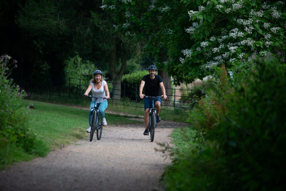 Haven Case Study - Halfords