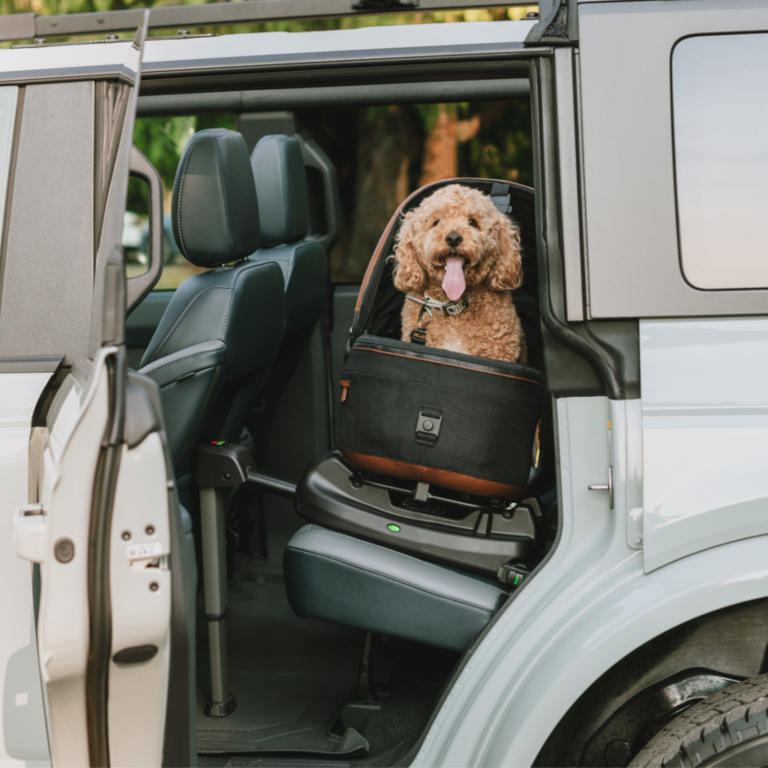 The Best Dog Car Accessories - Halfords