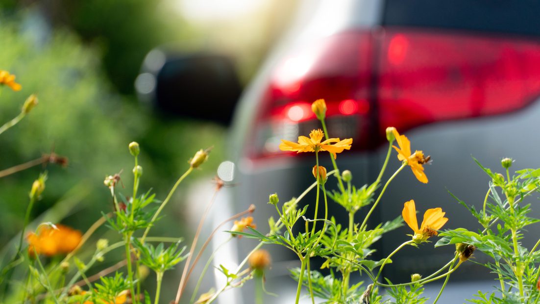 How your cabin filter can help hay fever - Halfords