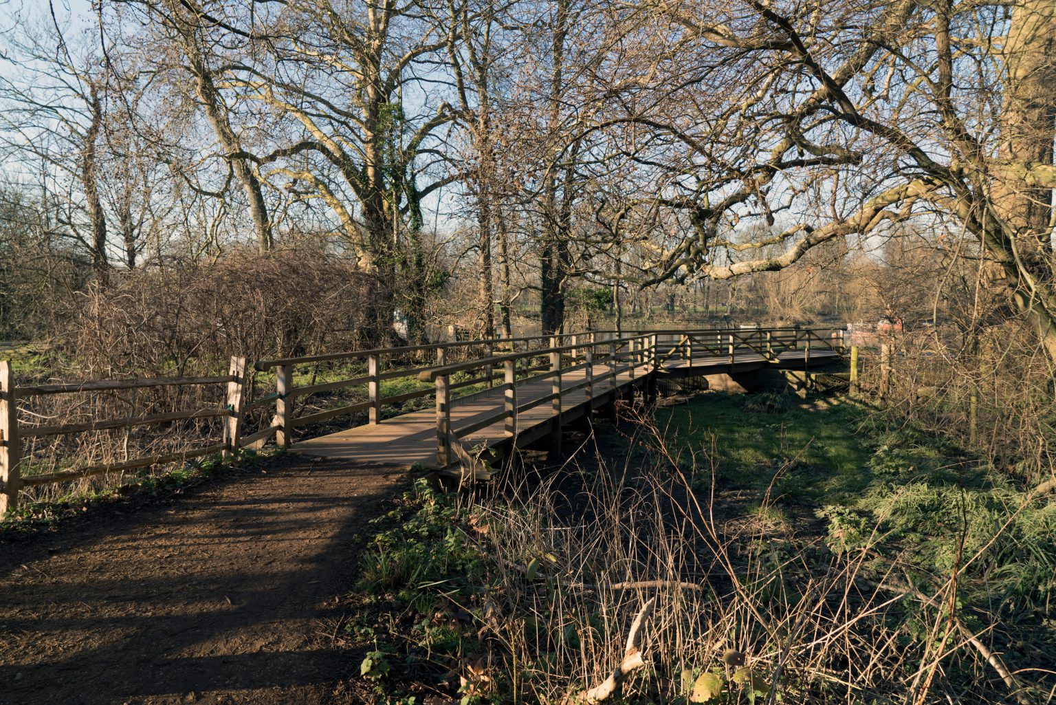 Festive Family Bike Trails - Halfords