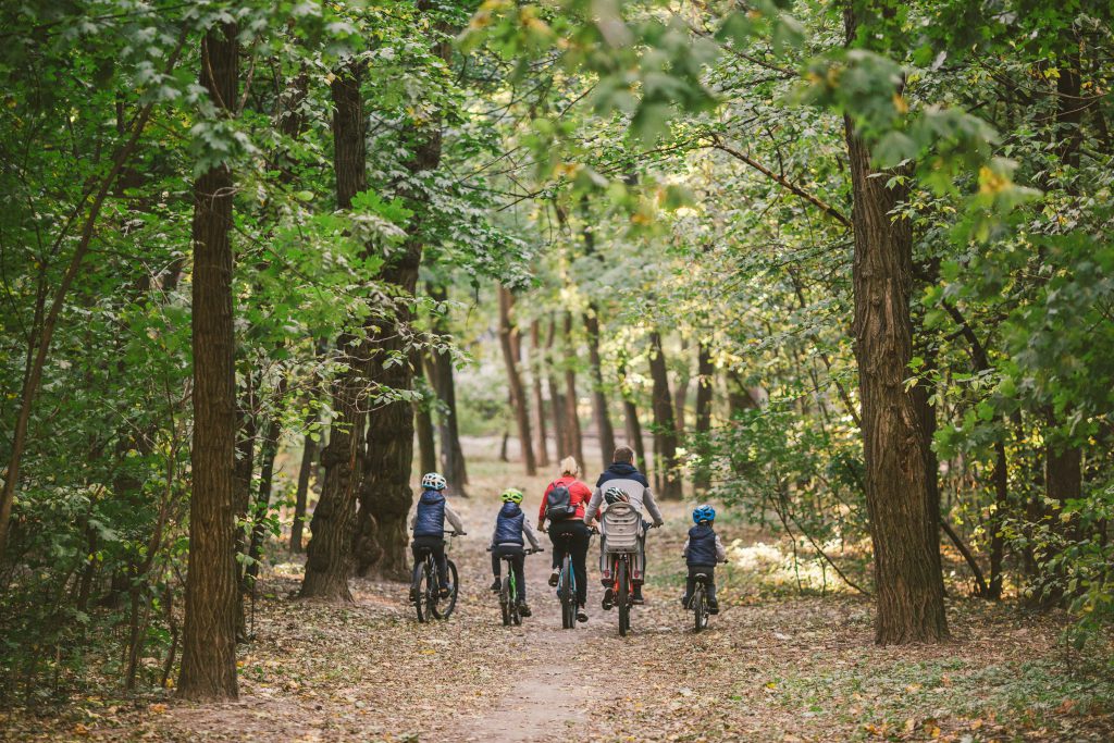 Festive Family Bike Trails - Halfords