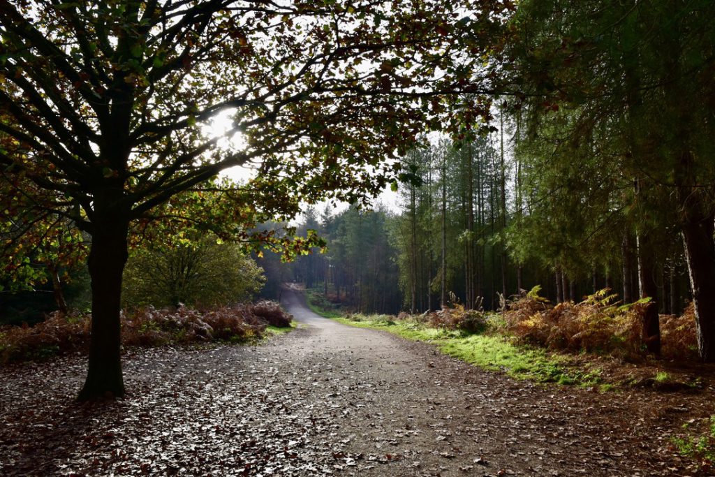 The Most Scenic Places For Family Cycling - Halfords
