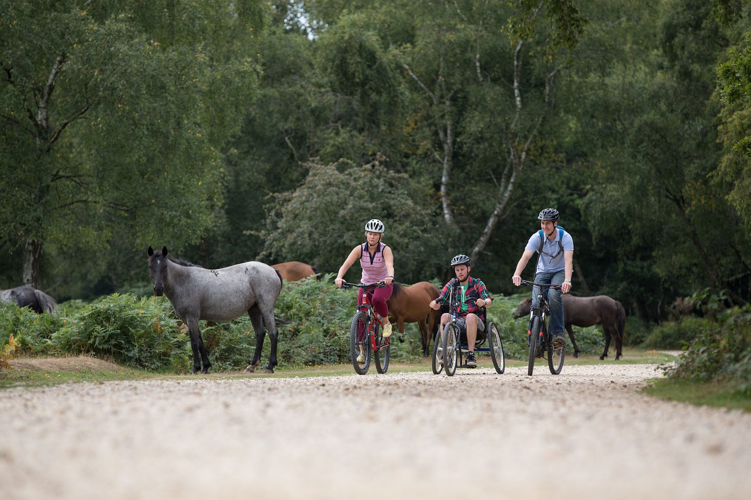 The Most Scenic Places For Family Cycling - Halfords
