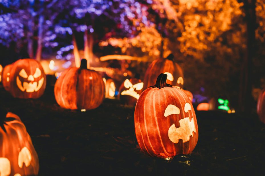 Our Top Picks: Halloween Attractions around the UK - Halfords