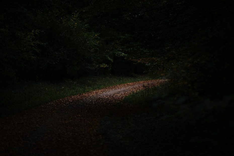 Top Tips For Mountain Biking At Night - Halfords