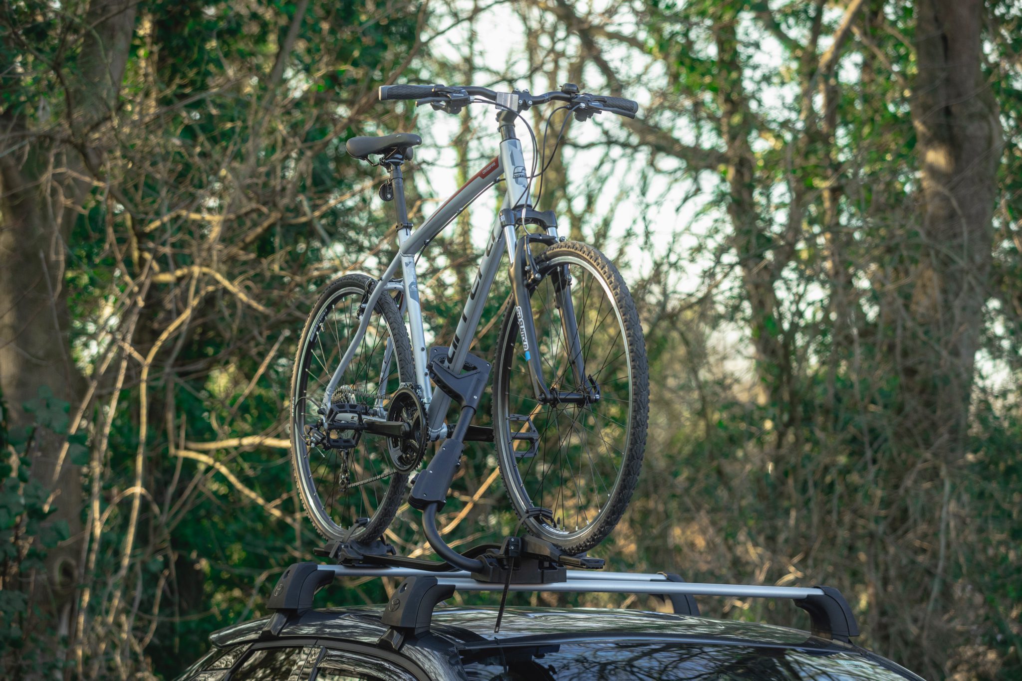 Best cycle routes in the forest of dean - Halfords