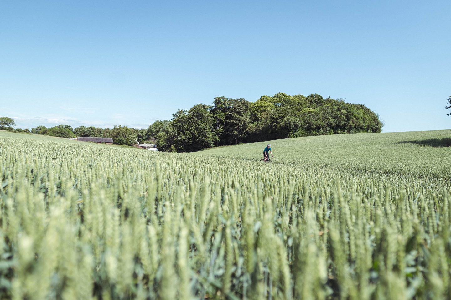 How to Transition from Running to Cycling - Halfords